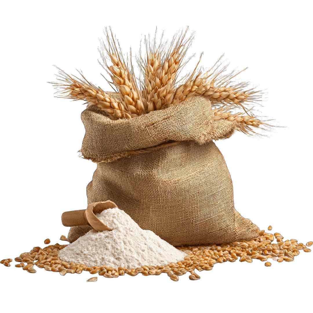 Buy Flours Online in Dubai | Premium Artisan Flour Selection | Les ...